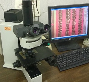 Optical Microscope - Olympus BX60 with SPOT Insight Digital Camera ...